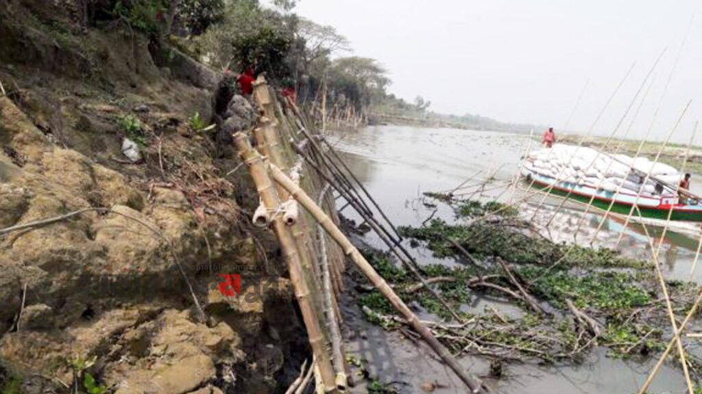 নদীভাঙন ঠেকাতে বাঁশের বেড়া